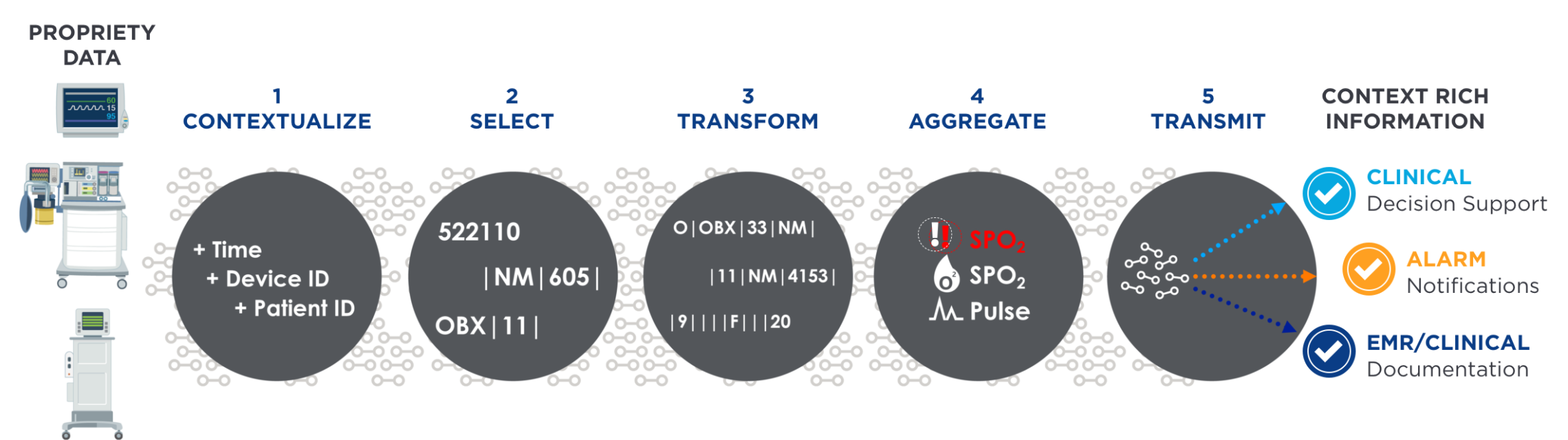 Ecosystem • Capsule